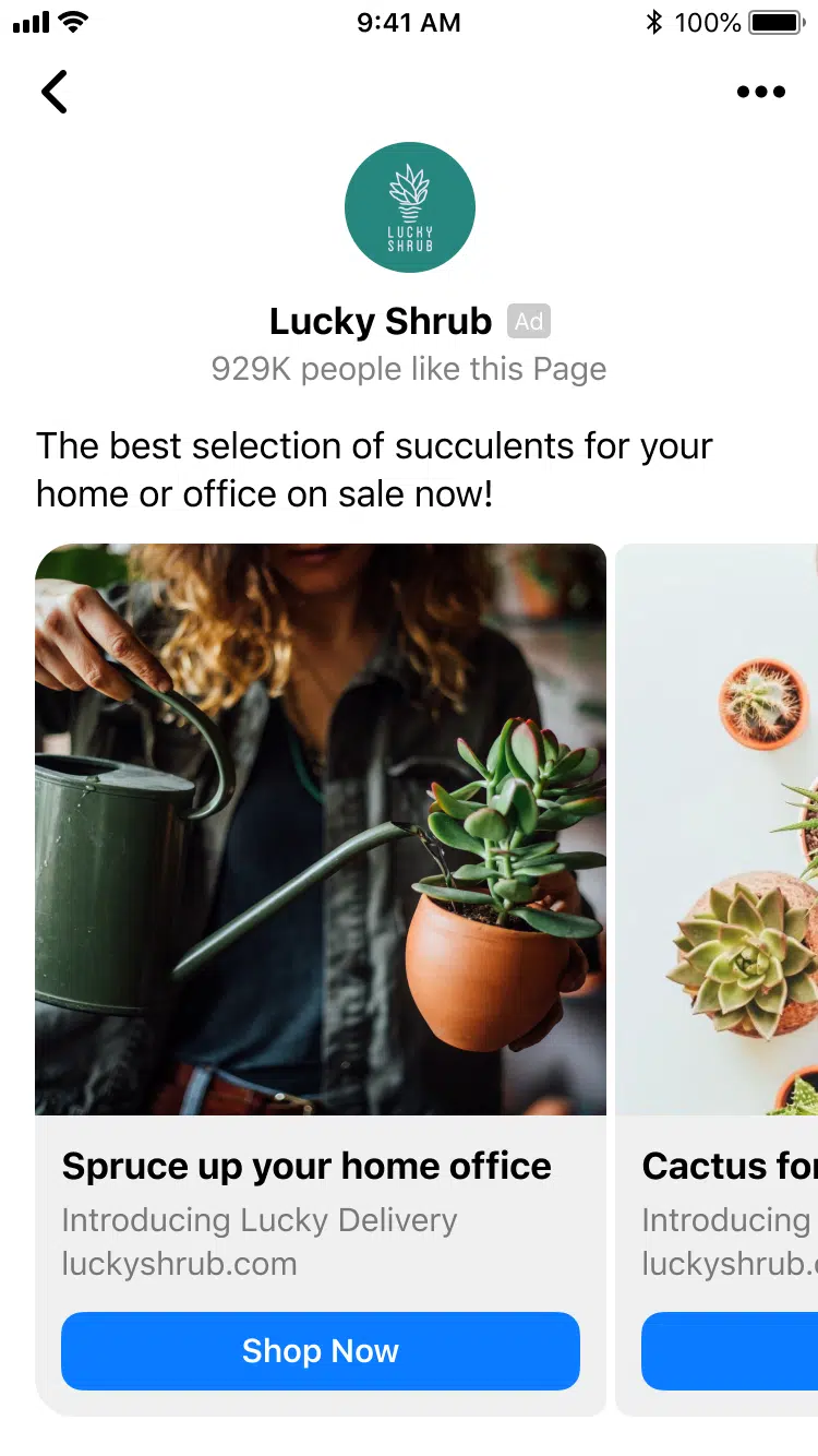 Ultimate Messenger Ads Guide - BLOG | BlackHOST